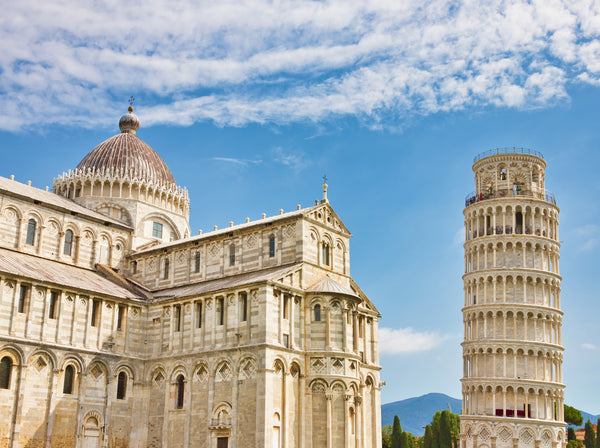 Fox Guide: Pisa | Pale Fox